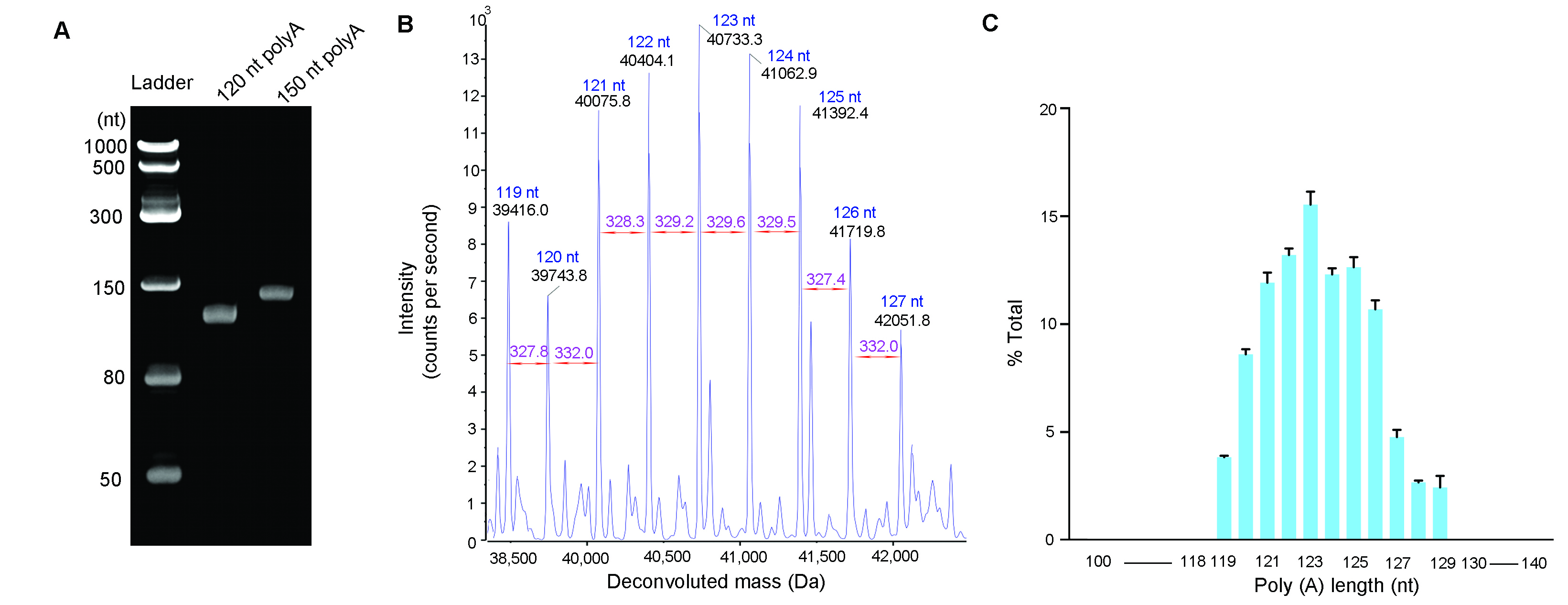 Therapeutic IVT RNA Development Services | VectorBuilder